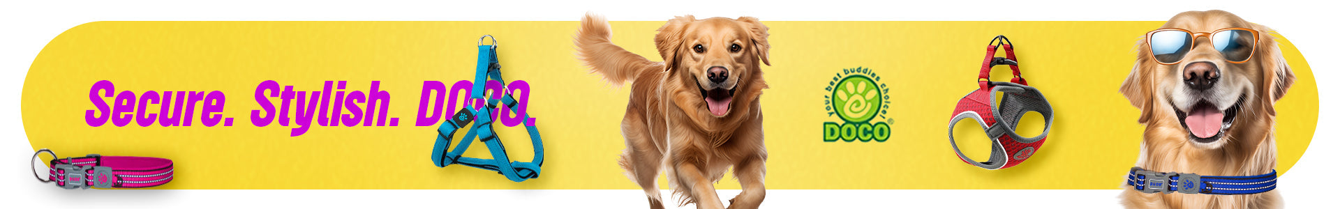 Doco Dog Collars, Leashes & Harnesses UAE | Strong & Comfortable Gear