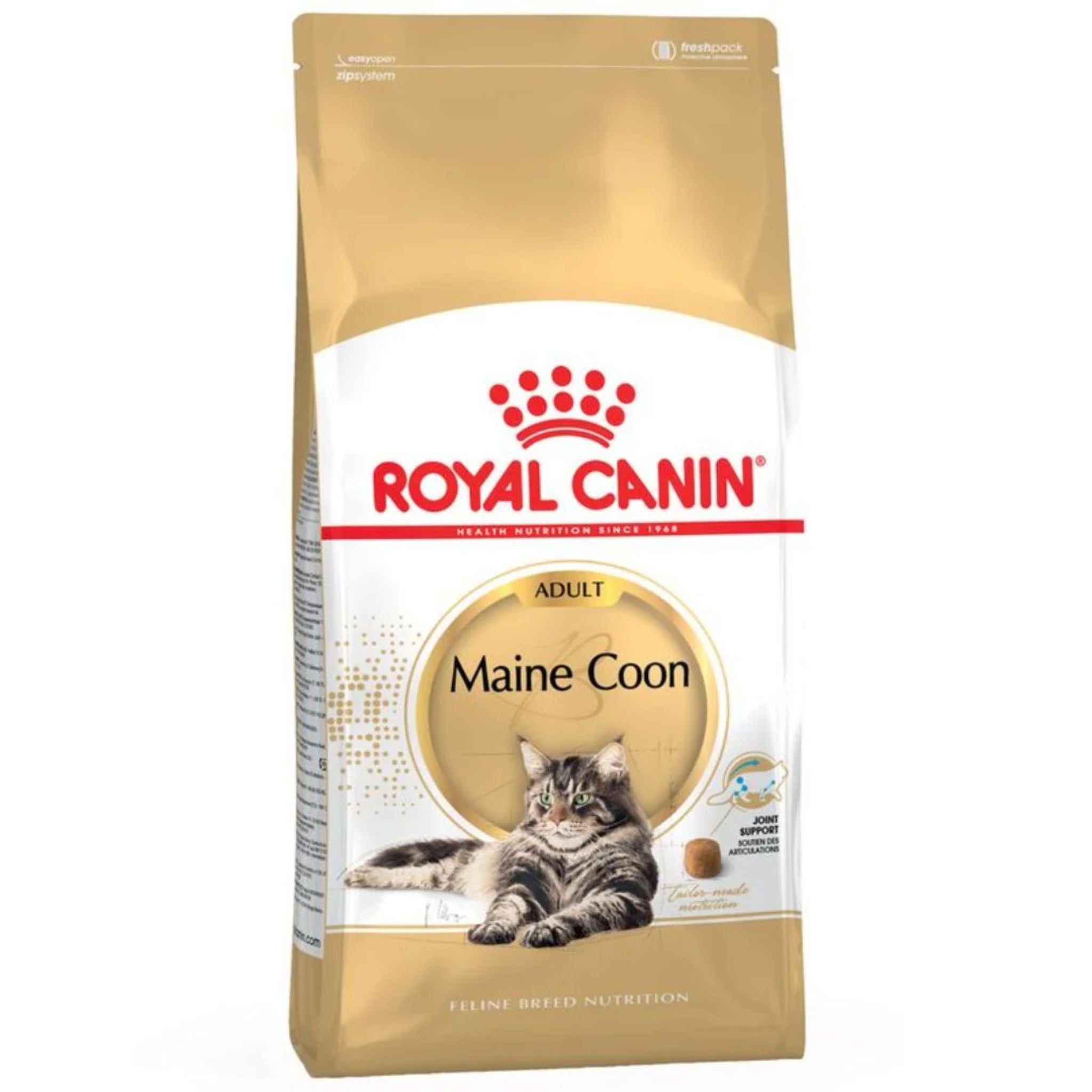 Large-Jaw Kibble for Maine Coon Wellbeing